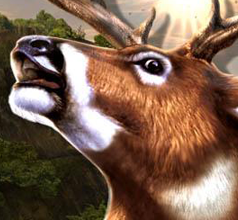 Infographic: Glu boasted Deer Hunter 2014 indicators | WN Hub